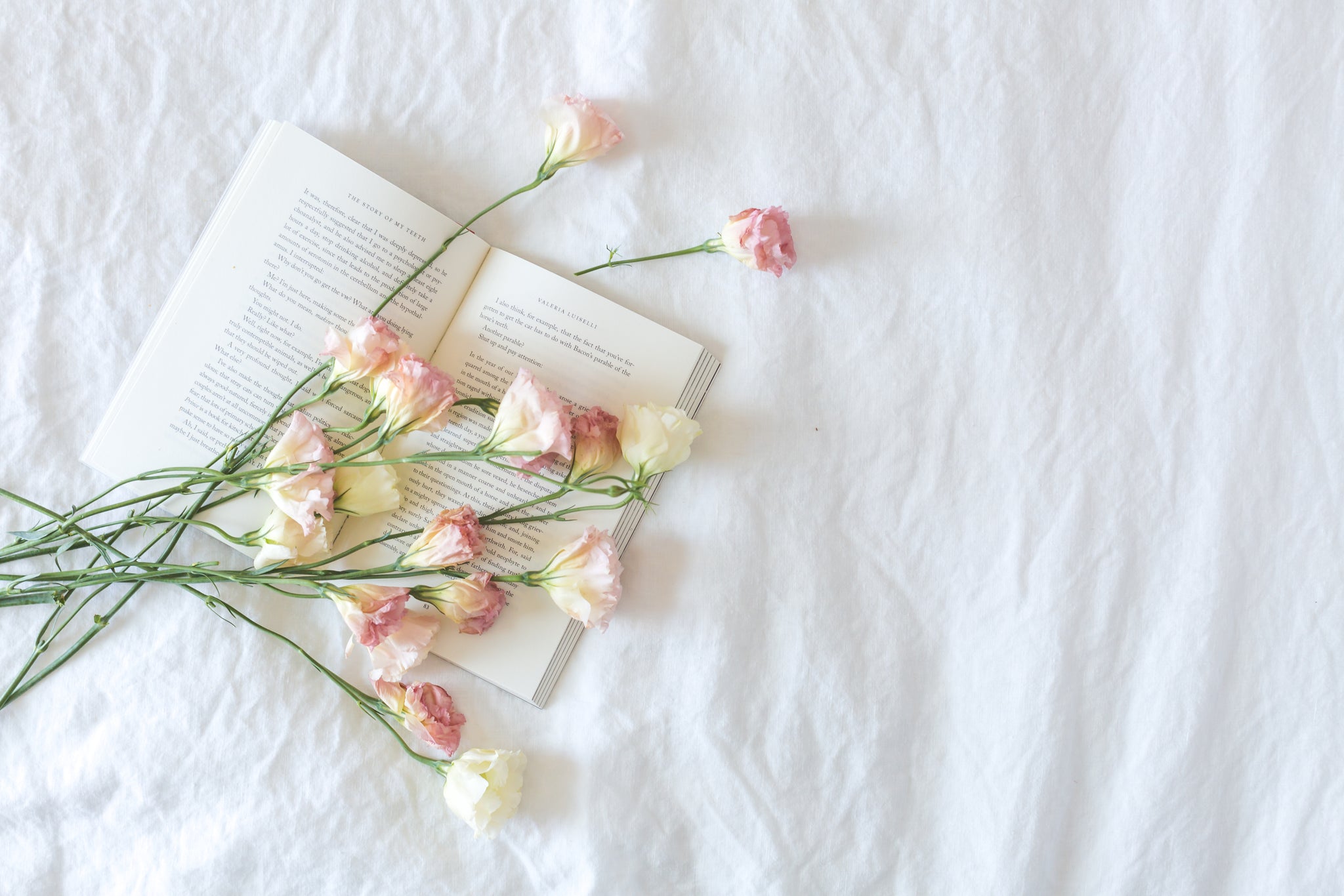 Alice Kate by Design - Home Interior, Soft Furnishings & Accessories